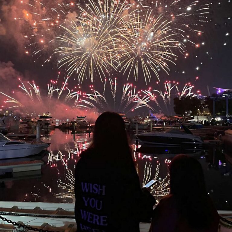Arora Fireworks: India's #1 Fireworks Retailer & Manufacturer